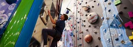 Aerial Tree Trekking | Center Parcs